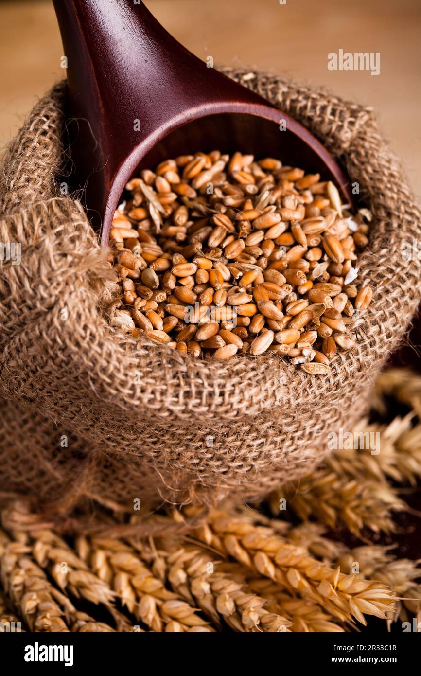Sack of wheat hi-res stock photography and images - Alamy