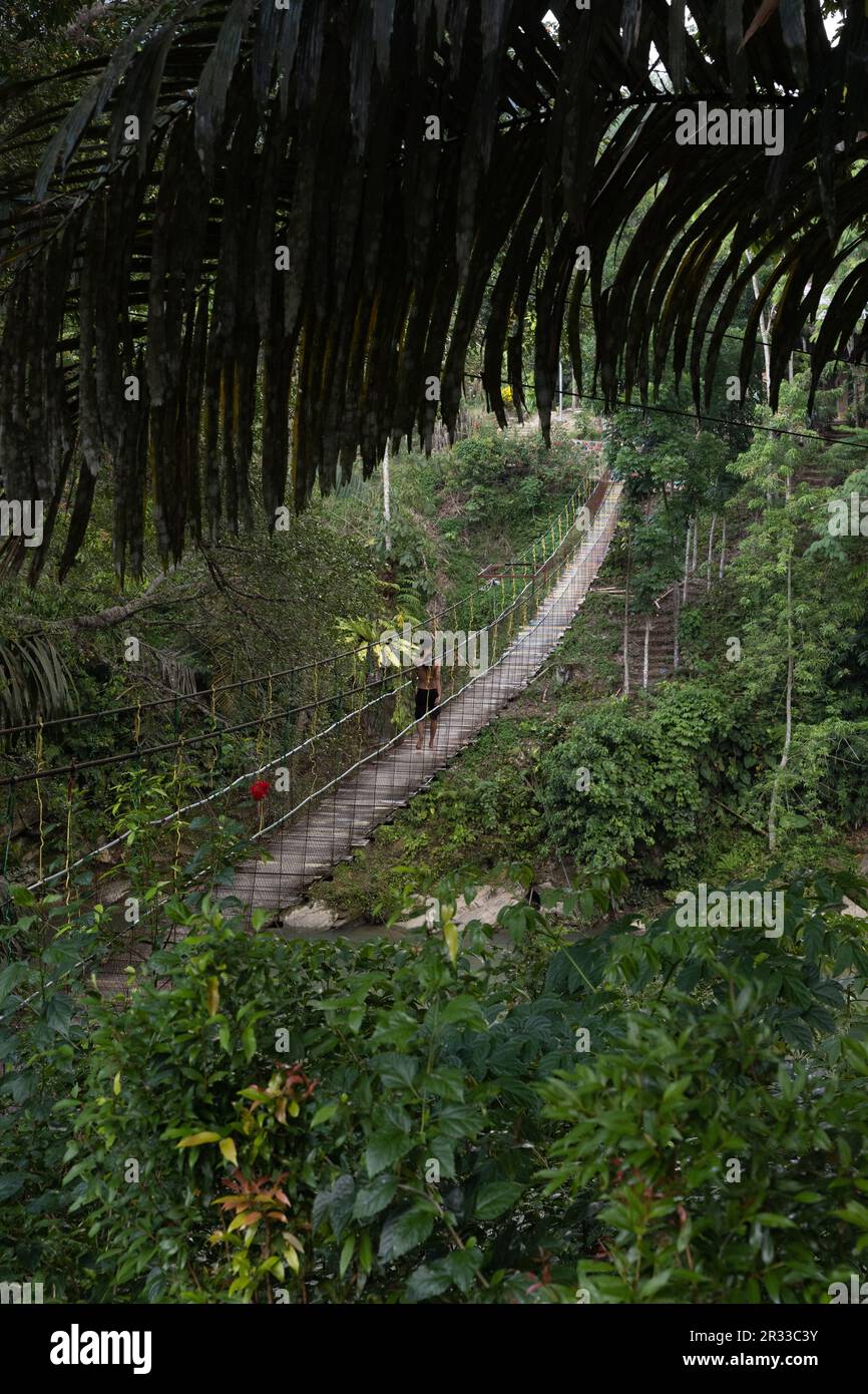 Tangkahan hi-res stock photography and images - Alamy