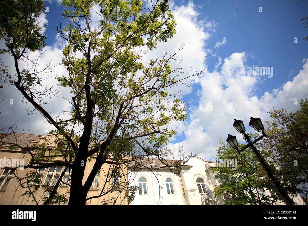 Trees old buildings hi-res stock photography and images - Alamy