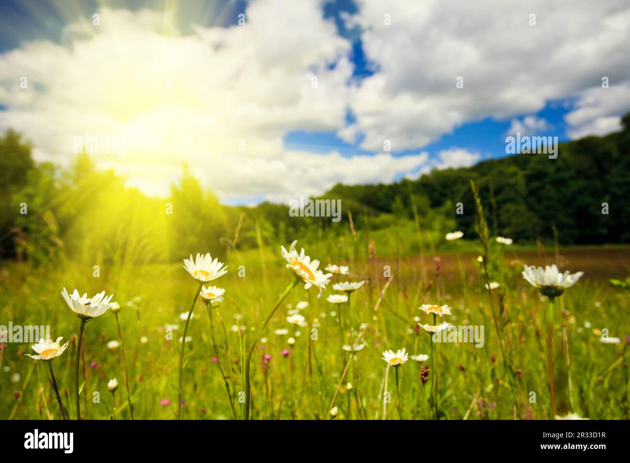 Ox-eye sun in sky Stock Photo - Alamy