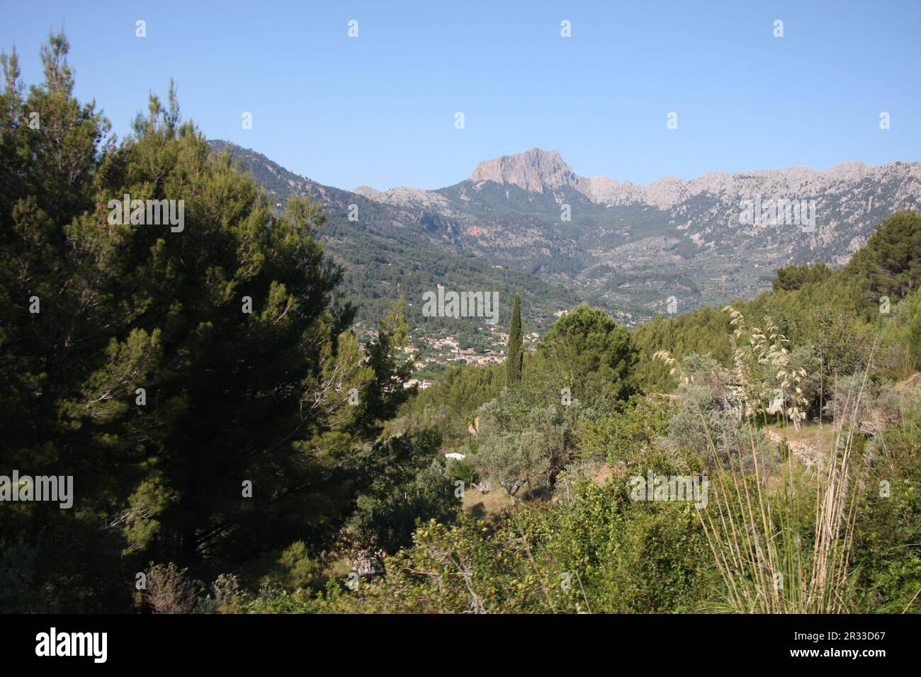 View from the Palma to Soller train looking at towns and countryside ...