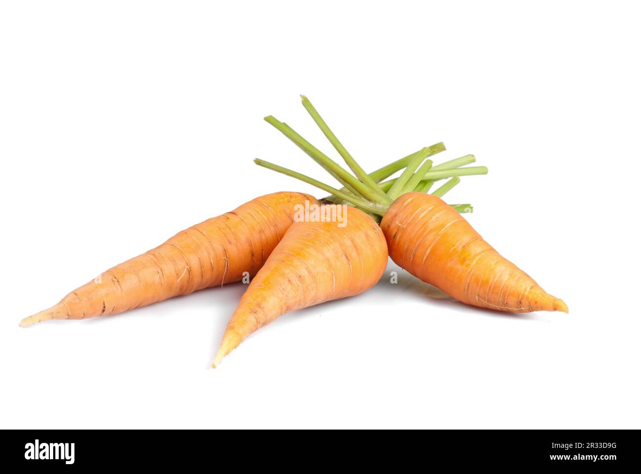 Large carrot isolated hi-res stock photography and images - Alamy
