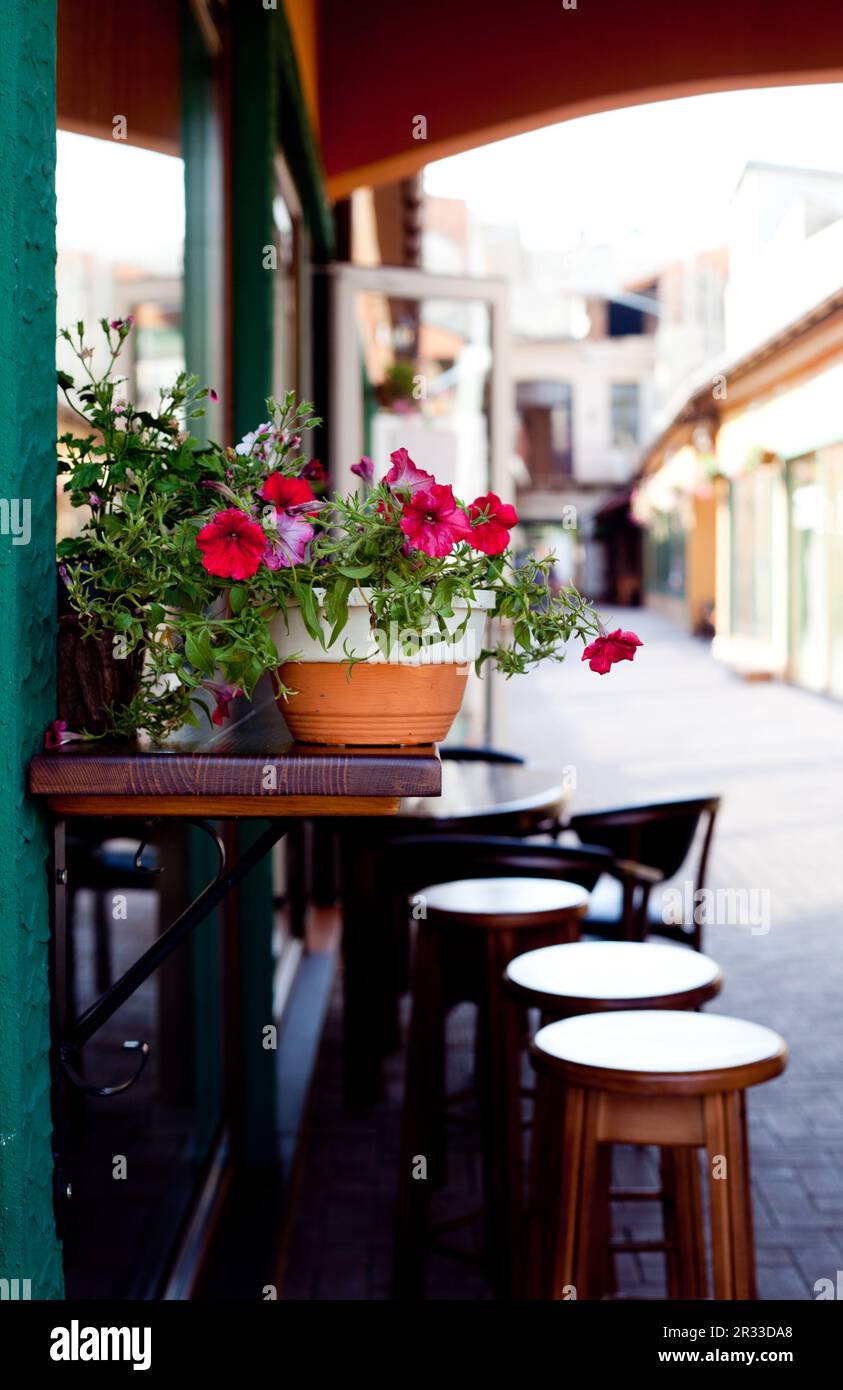 Outdoor cafe tables plant hi-res stock photography and images - Alamy