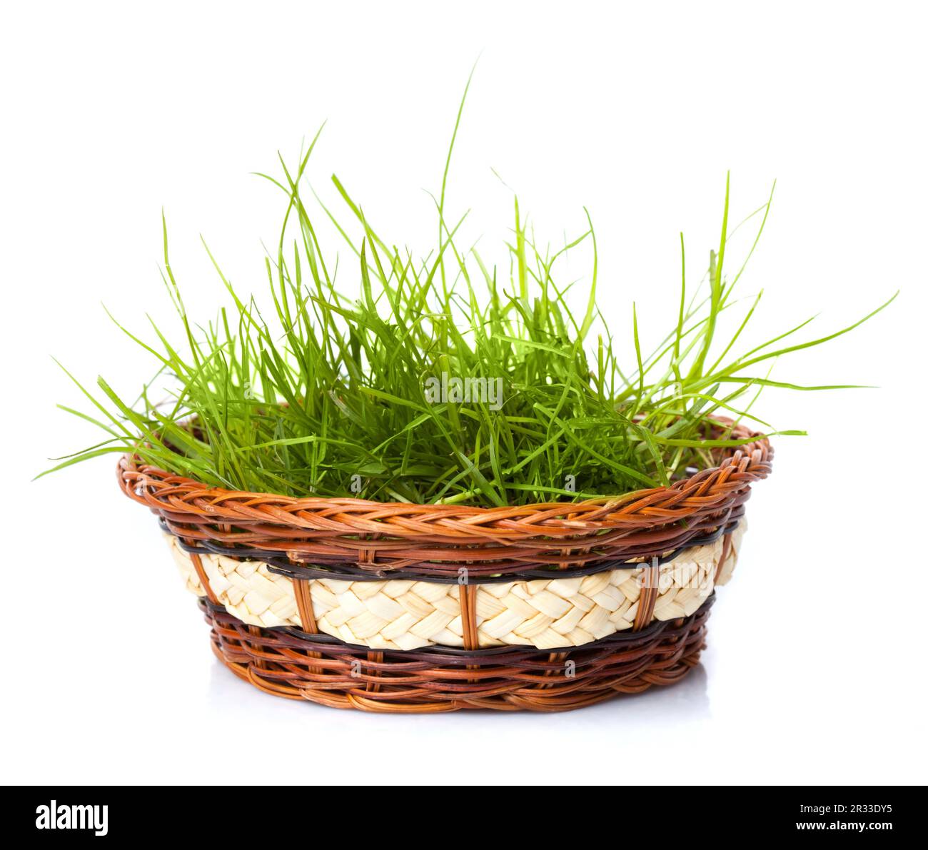 Close up meadow grass in Cut Out Stock Images & Pictures - Alamy