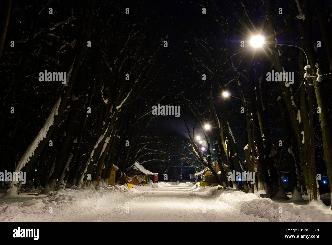 At night park hi-res stock photography and images - Alamy