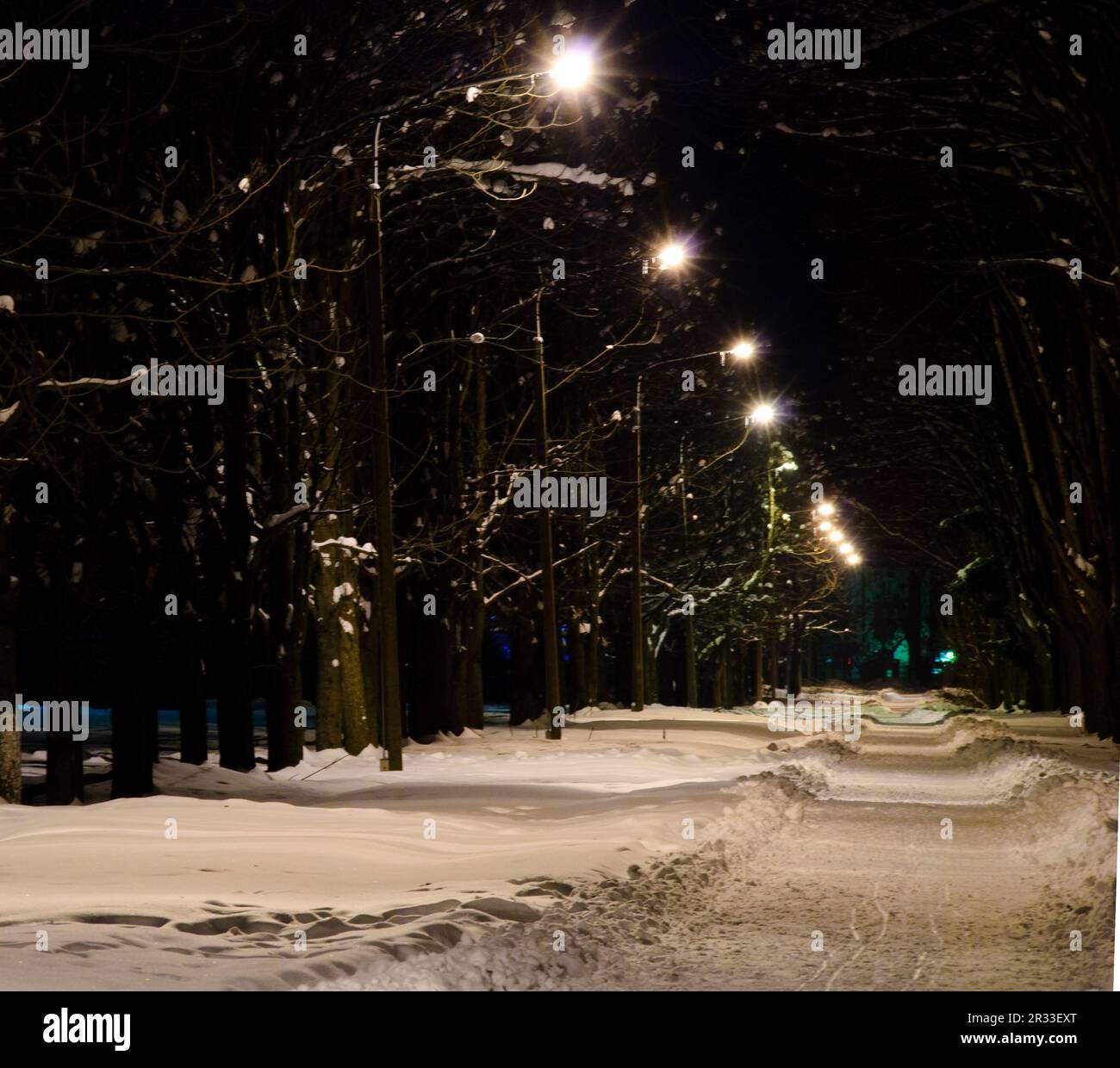 Night scene park alley hi-res stock photography and images - Alamy
