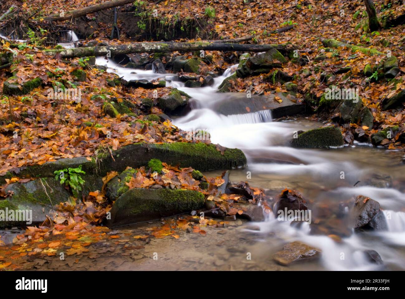 Mountain river wood river hi-res stock photography and images - Alamy