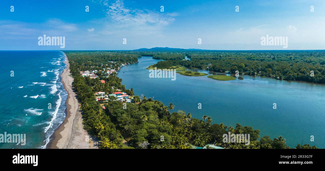 Tortuguero National Park turtle beach coast Costa Rica Stock Photo - Alamy