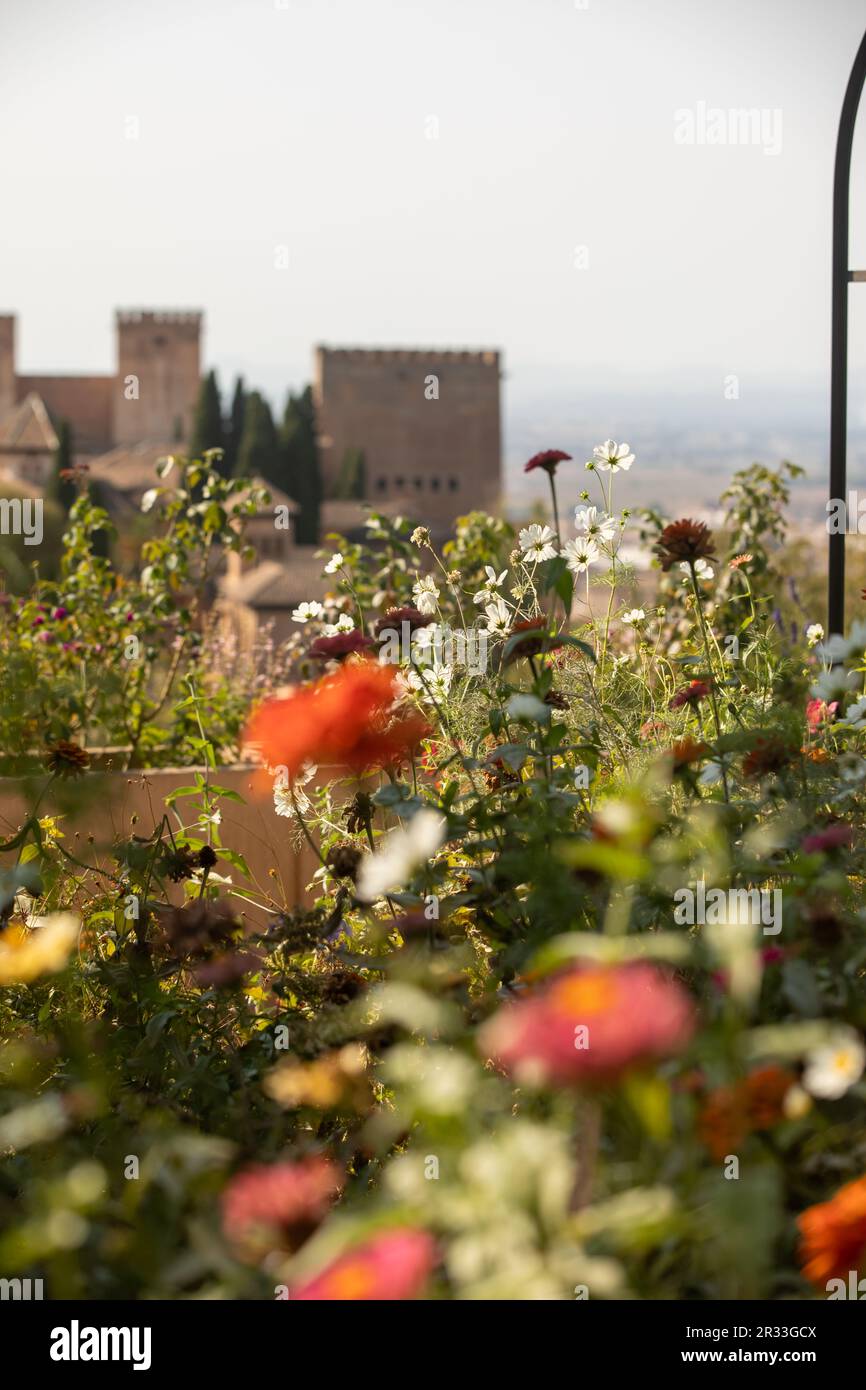 Generic vegetation with green leaves and colourful flowers in the ...