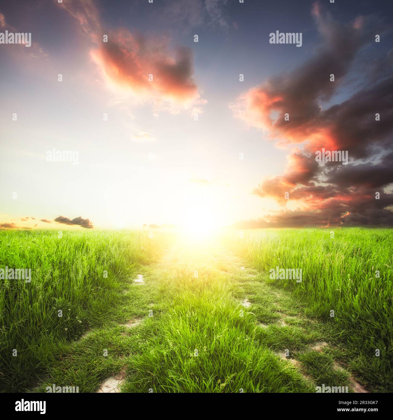 Rural pathway scene hi-res stock photography and images - Alamy