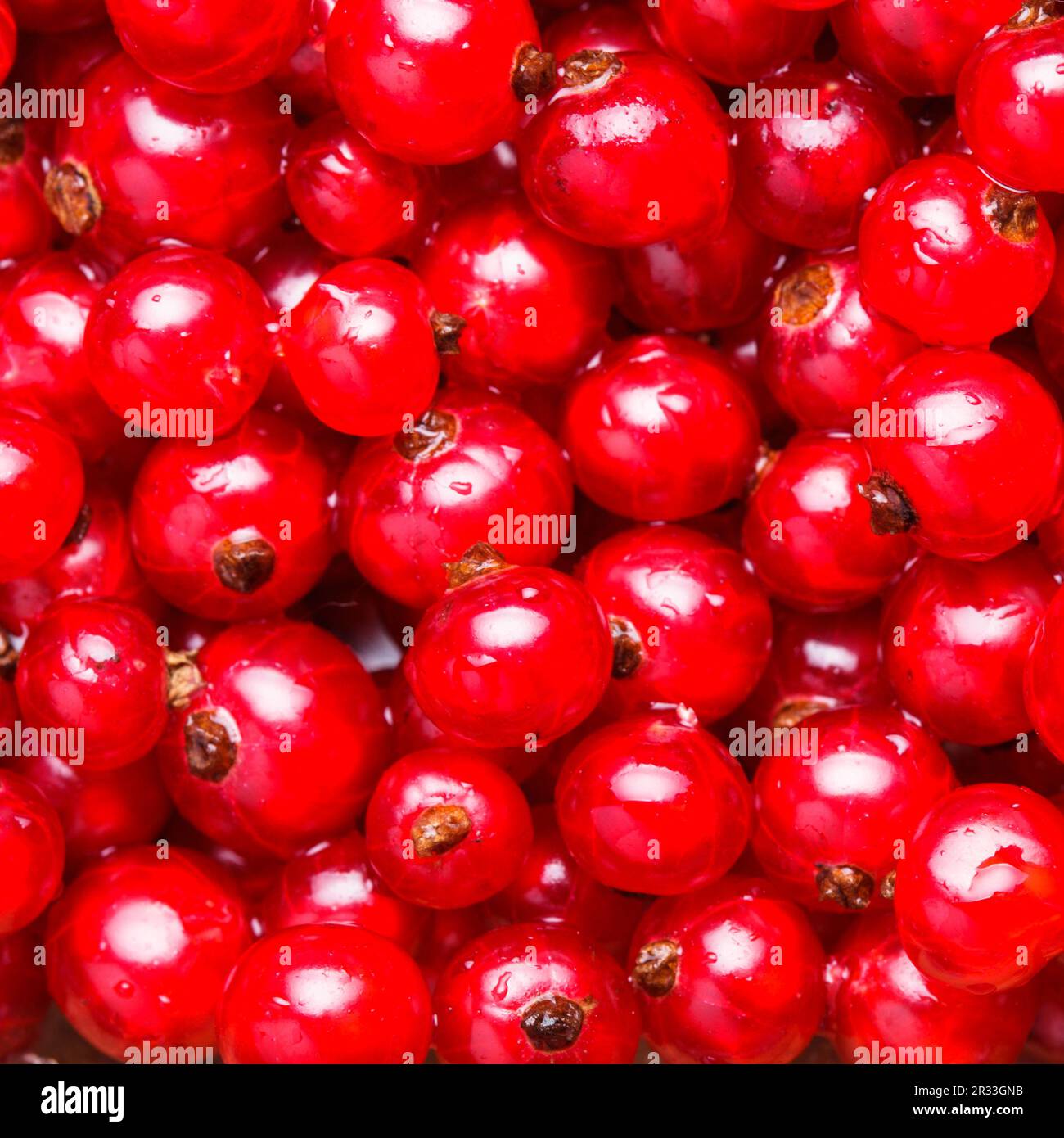 Red wet currant hi-res stock photography and images - Alamy