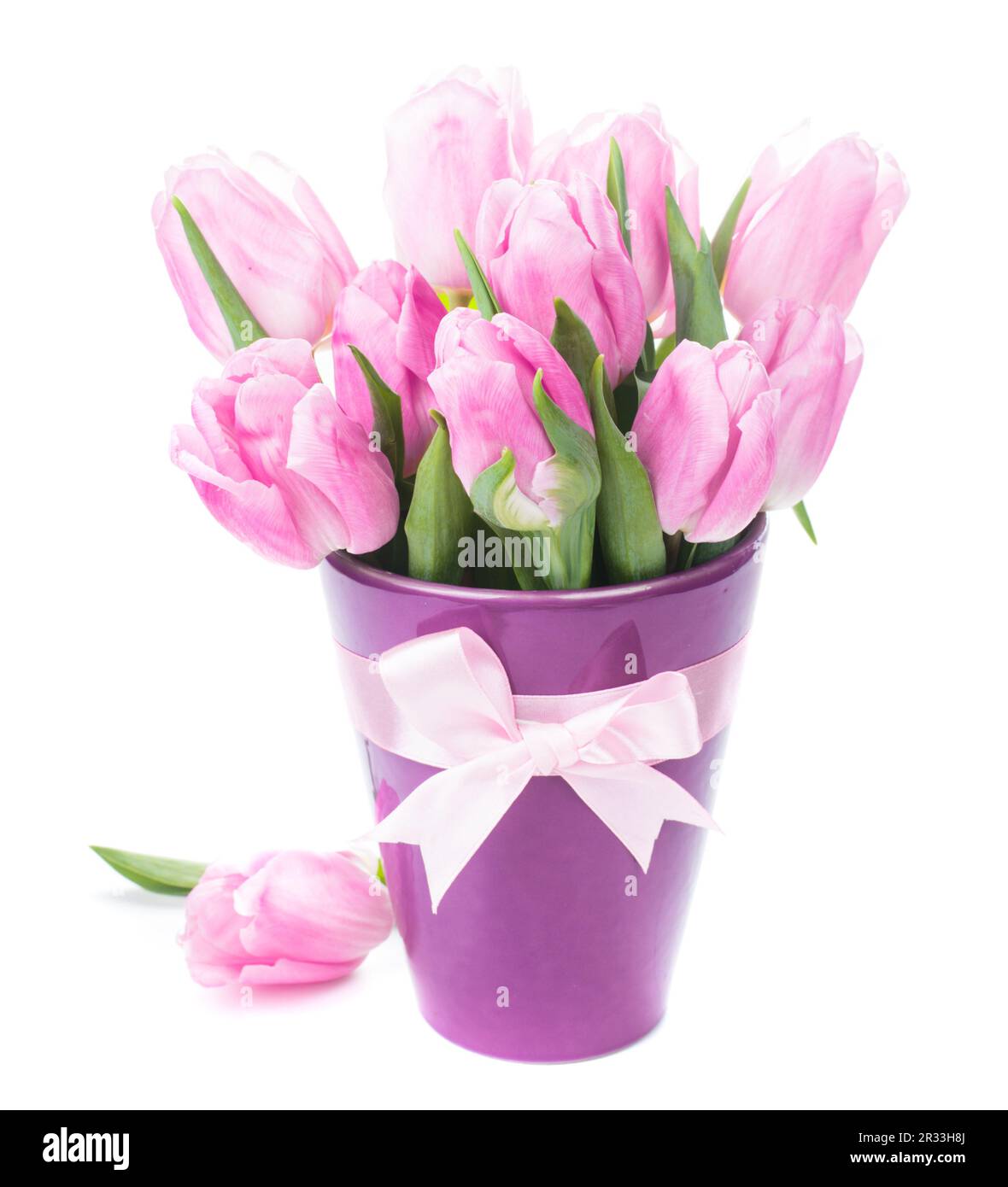 Tulips and eggs isolated Stock Photo - Alamy