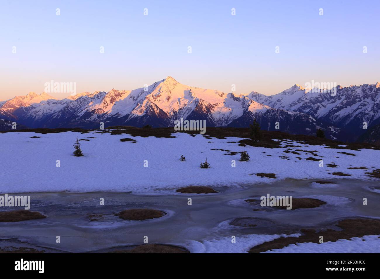 Moor vegetation hi-res stock photography and images - Alamy