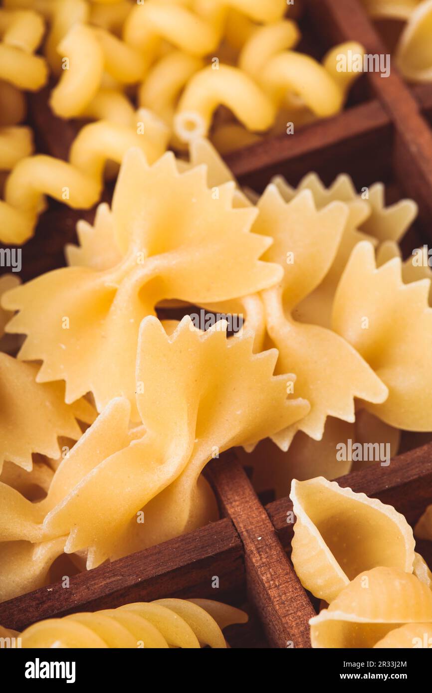 Various shell types hi-res stock photography and images - Alamy