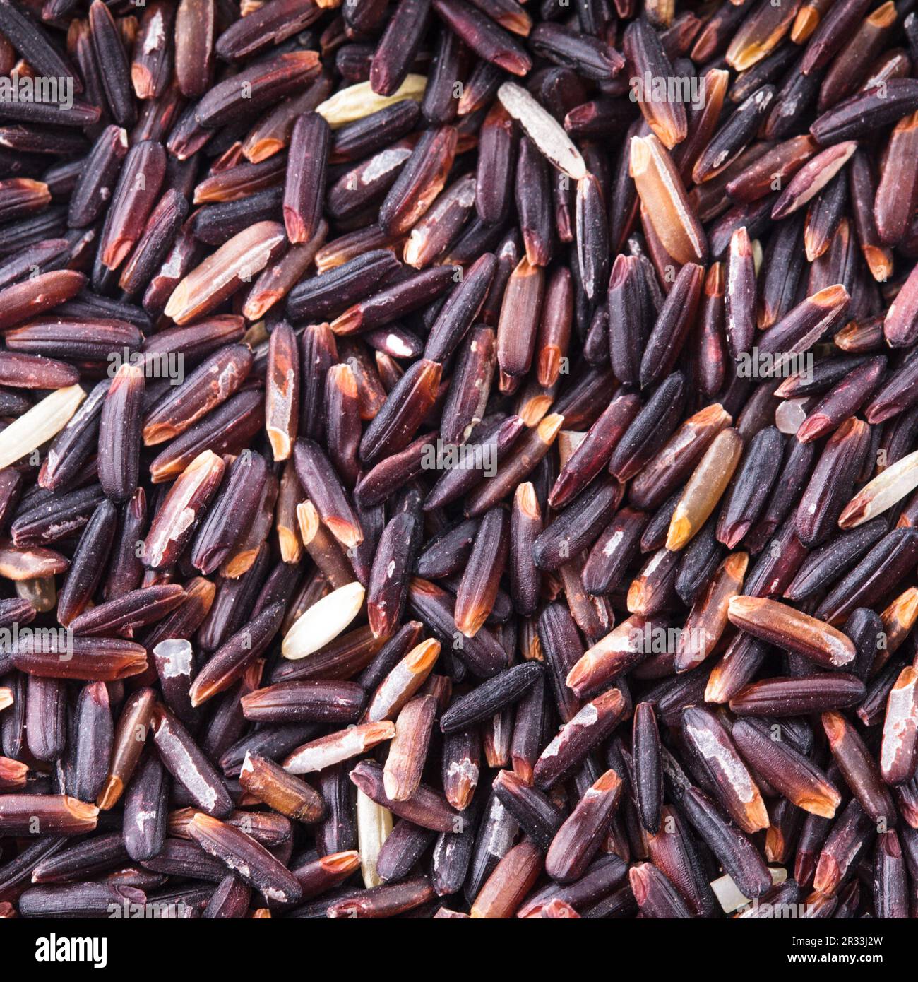Unpeeled rice hi-res stock photography and images - Alamy