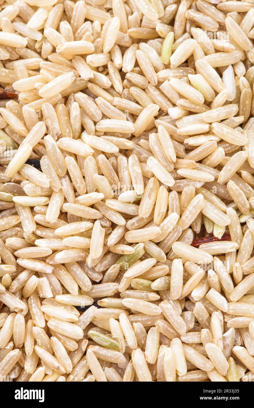 Asian rice varieties hi-res stock photography and images - Alamy