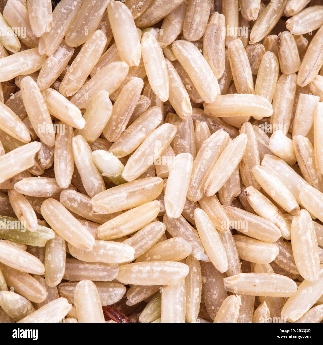Unpeeled rice hi-res stock photography and images - Alamy
