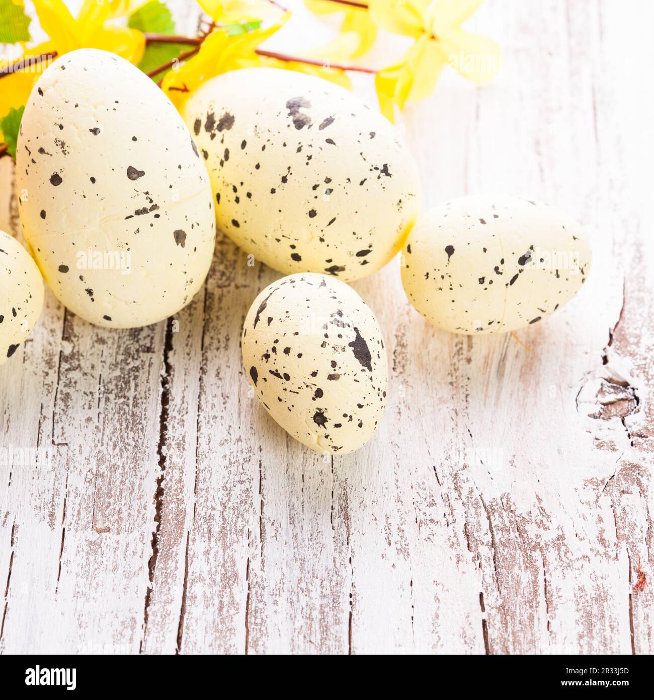Patchy eggs hi-res stock photography and images - Alamy