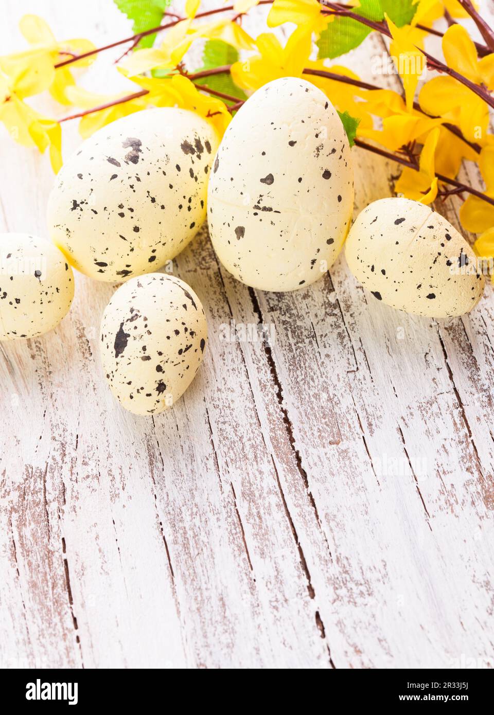 Patchy eggs hi-res stock photography and images - Alamy