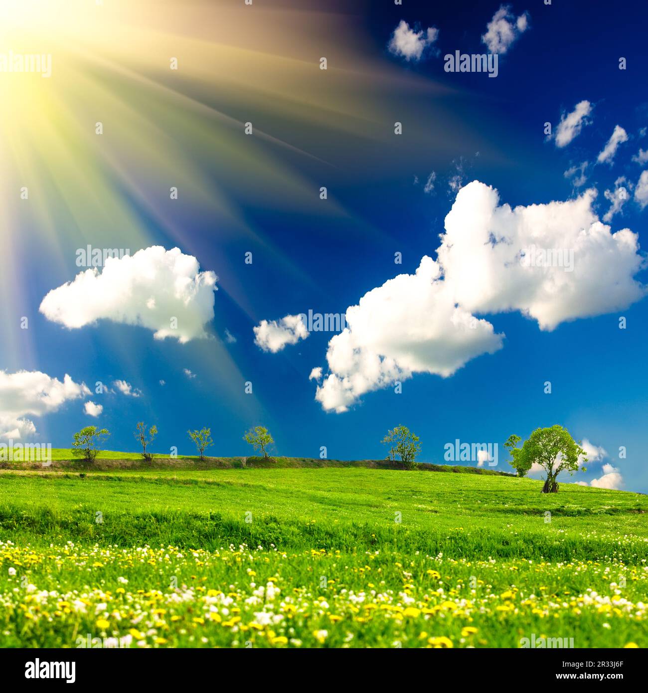 Outdoor meadows hi-res stock photography and images - Alamy