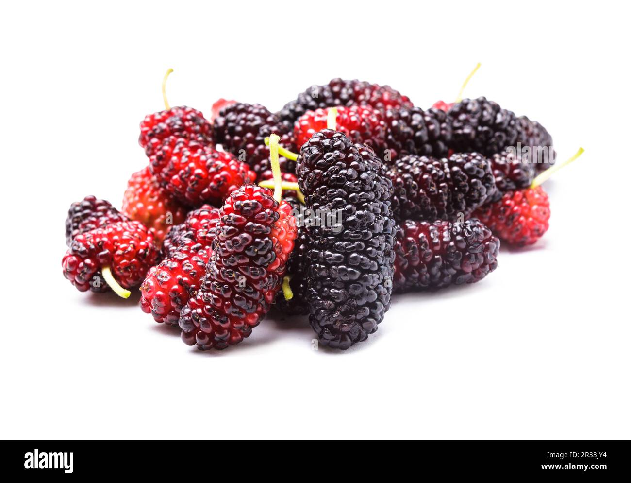 White mulberry berry closeup Cut Out Stock Images & Pictures - Alamy