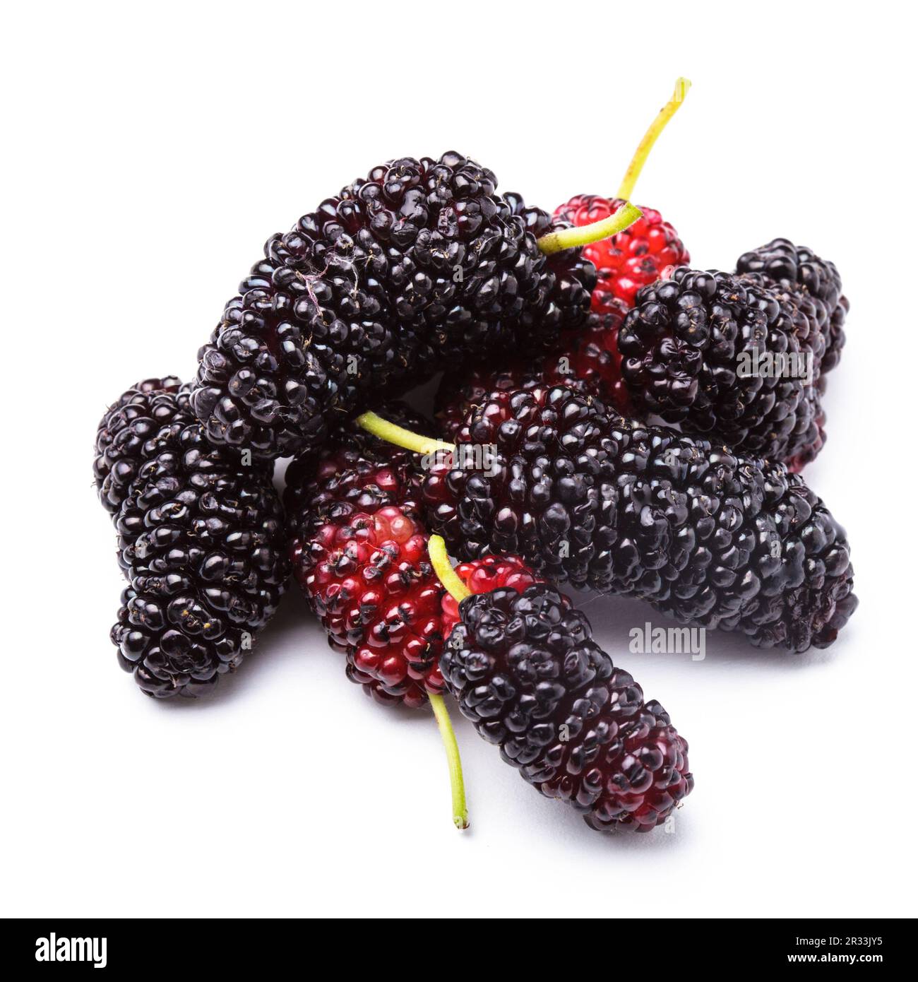 Mulberry purple hi-res stock photography and images - Alamy
