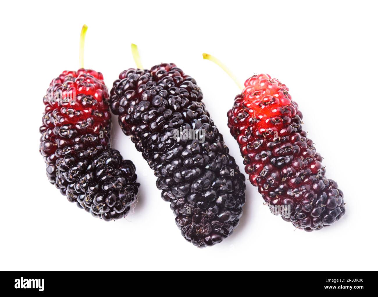 Mulberry berries white black hi-res stock photography and images - Alamy