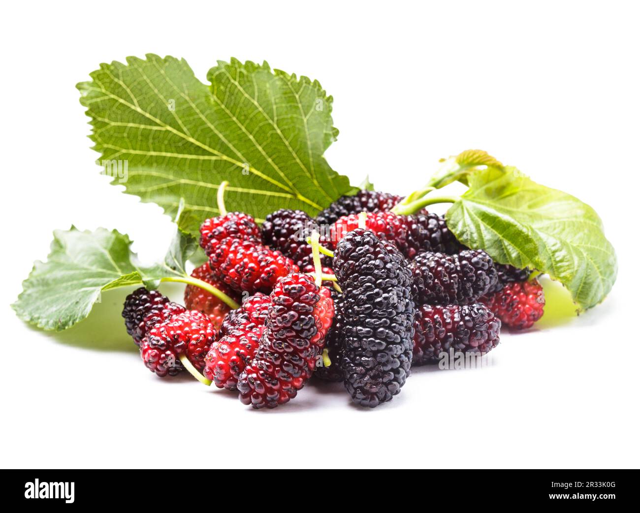 Fresh ripe mulberry berries Cut Out Stock Images & Pictures - Alamy