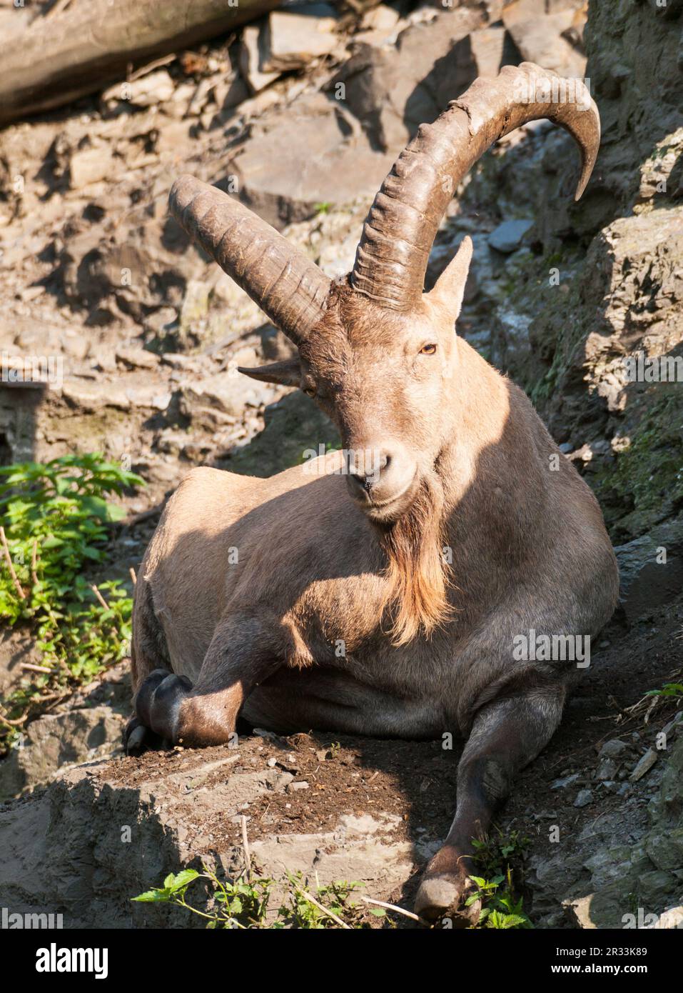 Lervia hi-res stock photography and images - Alamy