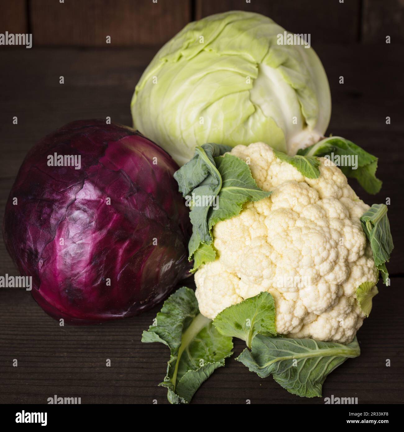 Types of cabbage hi-res stock photography and images - Alamy