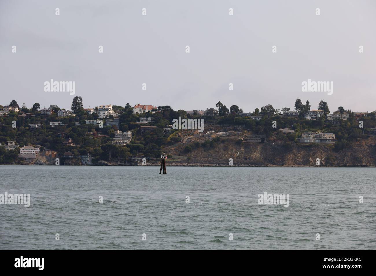 Sailing on San Francisco bay Stock Photo - Alamy