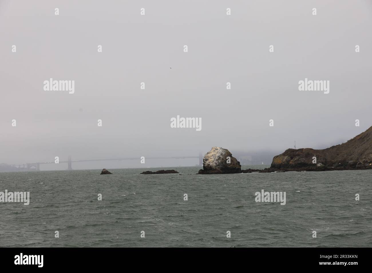 Sailing on San Francisco bay Stock Photo - Alamy