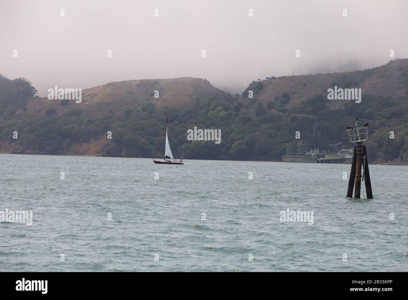 Sailing on San Francisco bay Stock Photo - Alamy