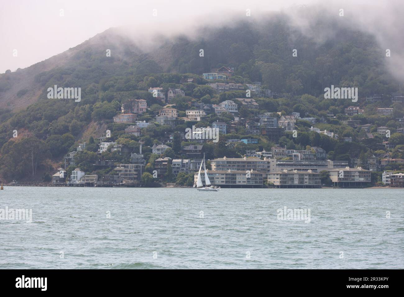Sailing on San Francisco bay Stock Photo - Alamy