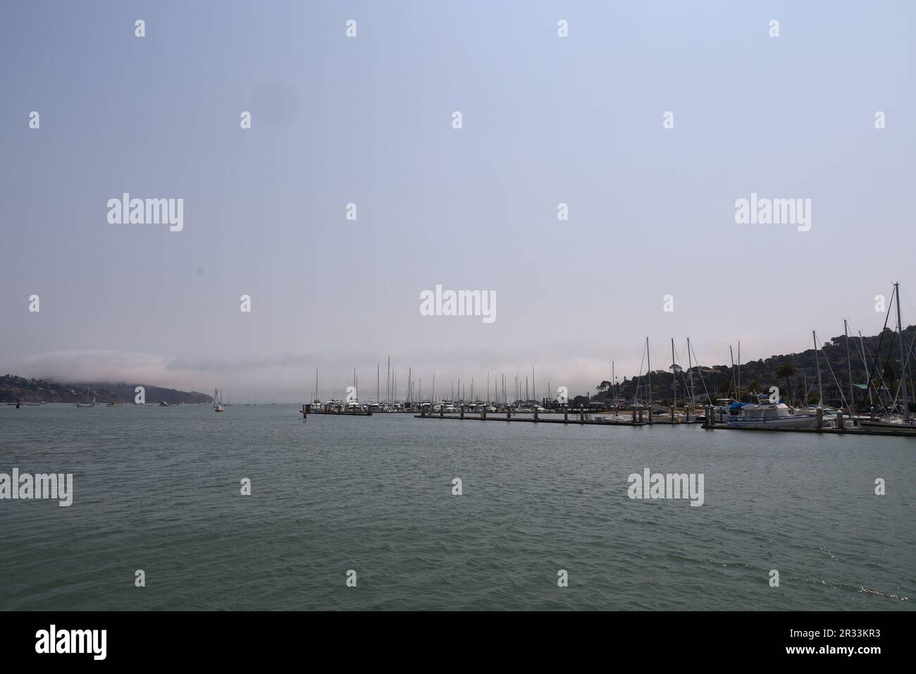 Sailing on San Francisco bay Stock Photo - Alamy