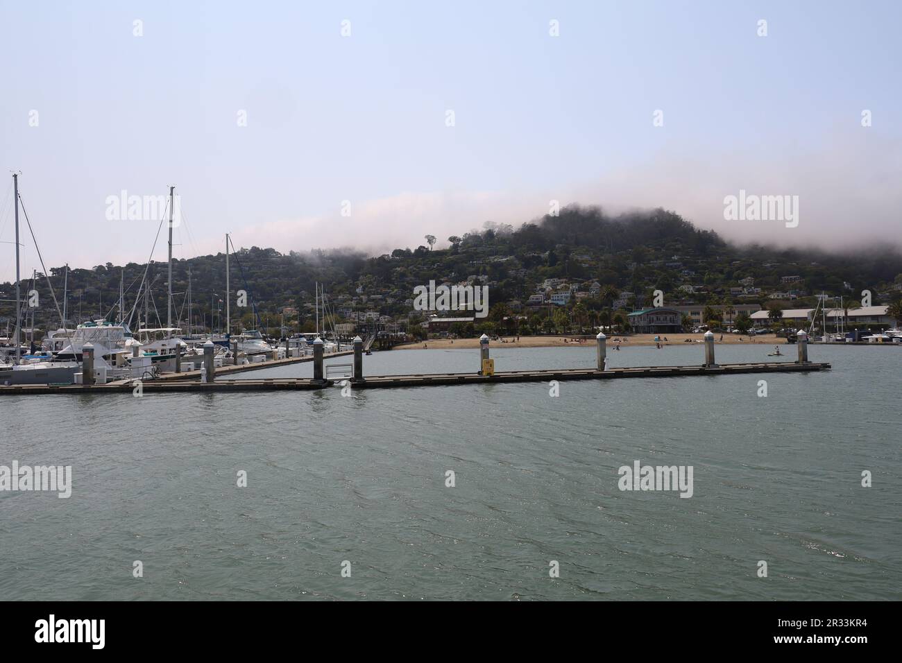 Sailing on San Francisco bay Stock Photo - Alamy