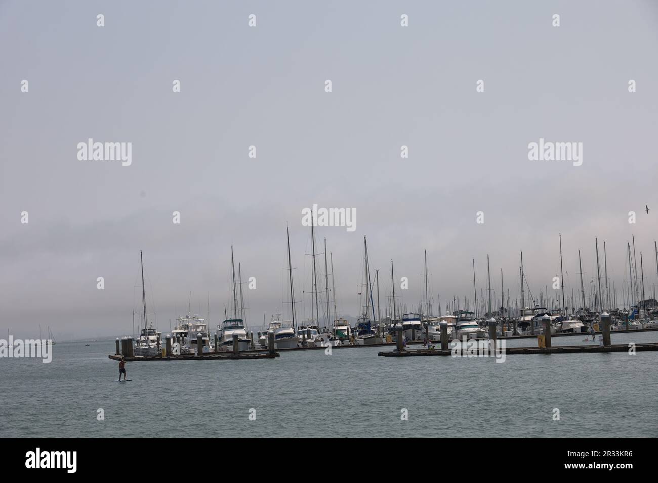 Sailing on San Francisco bay Stock Photo - Alamy
