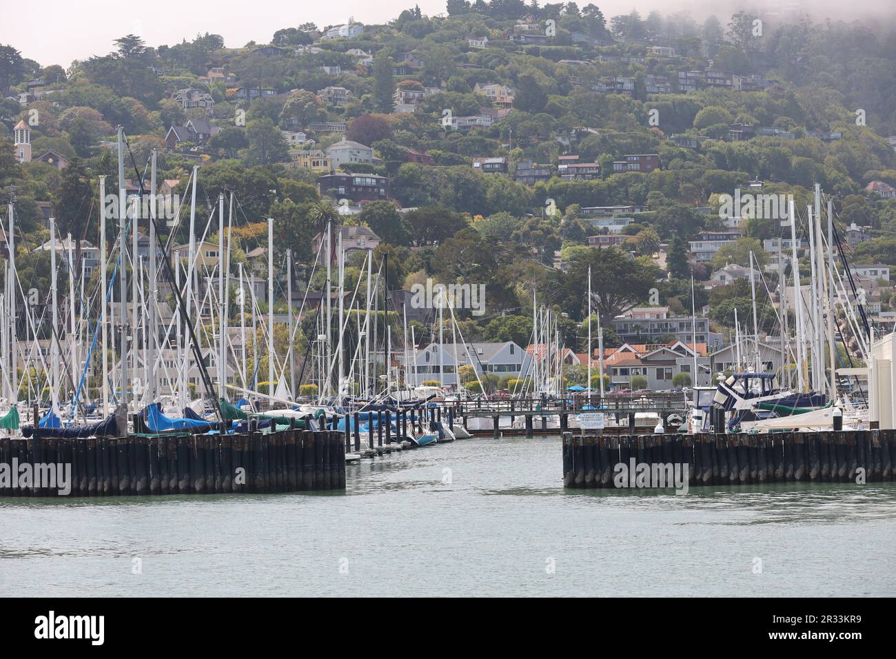 Sailing on San Francisco bay Stock Photo - Alamy
