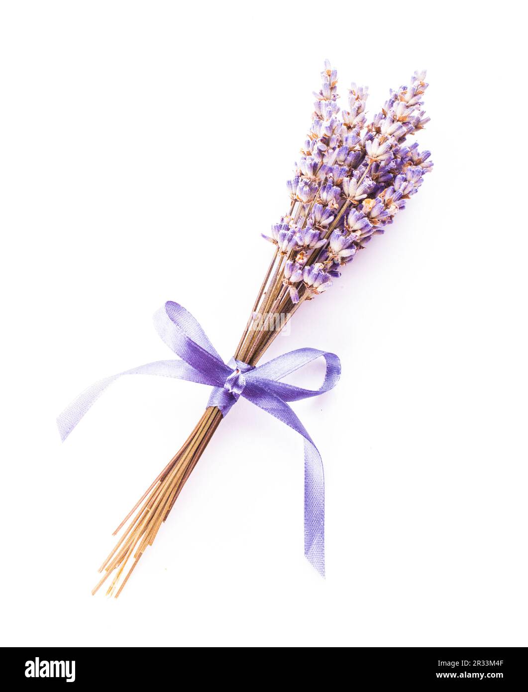 Therapeutic lavender Cut Out Stock Images & Pictures - Alamy