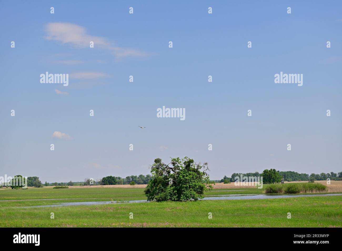 March river hi-res stock photography and images - Alamy