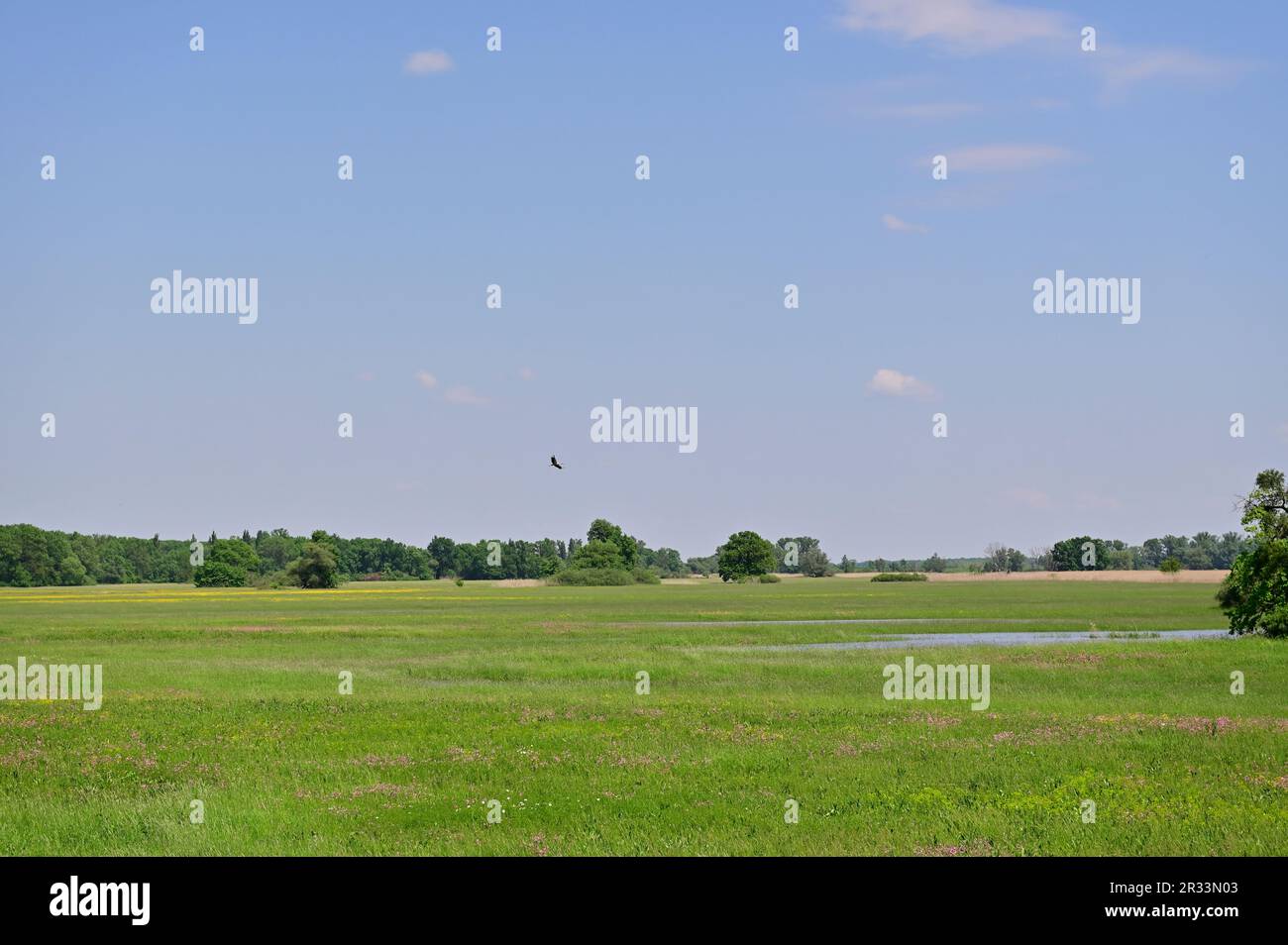 March river hi-res stock photography and images - Alamy