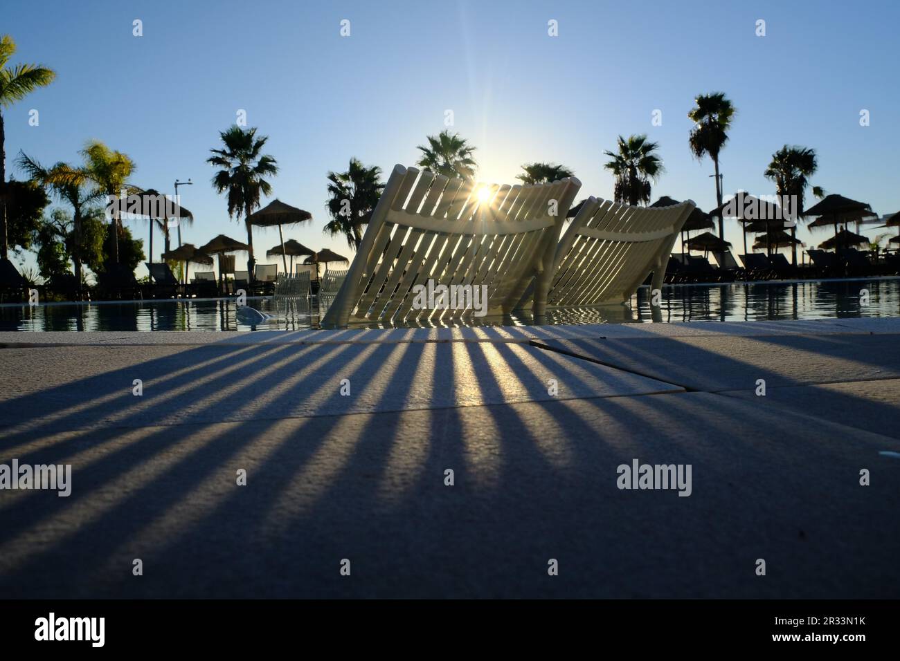 Pool chair and palm trees Stock Photo - Alamy