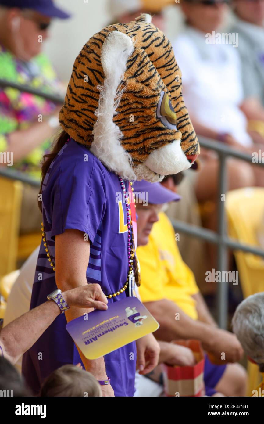 Tiger mask hi-res stock photography and images - Alamy