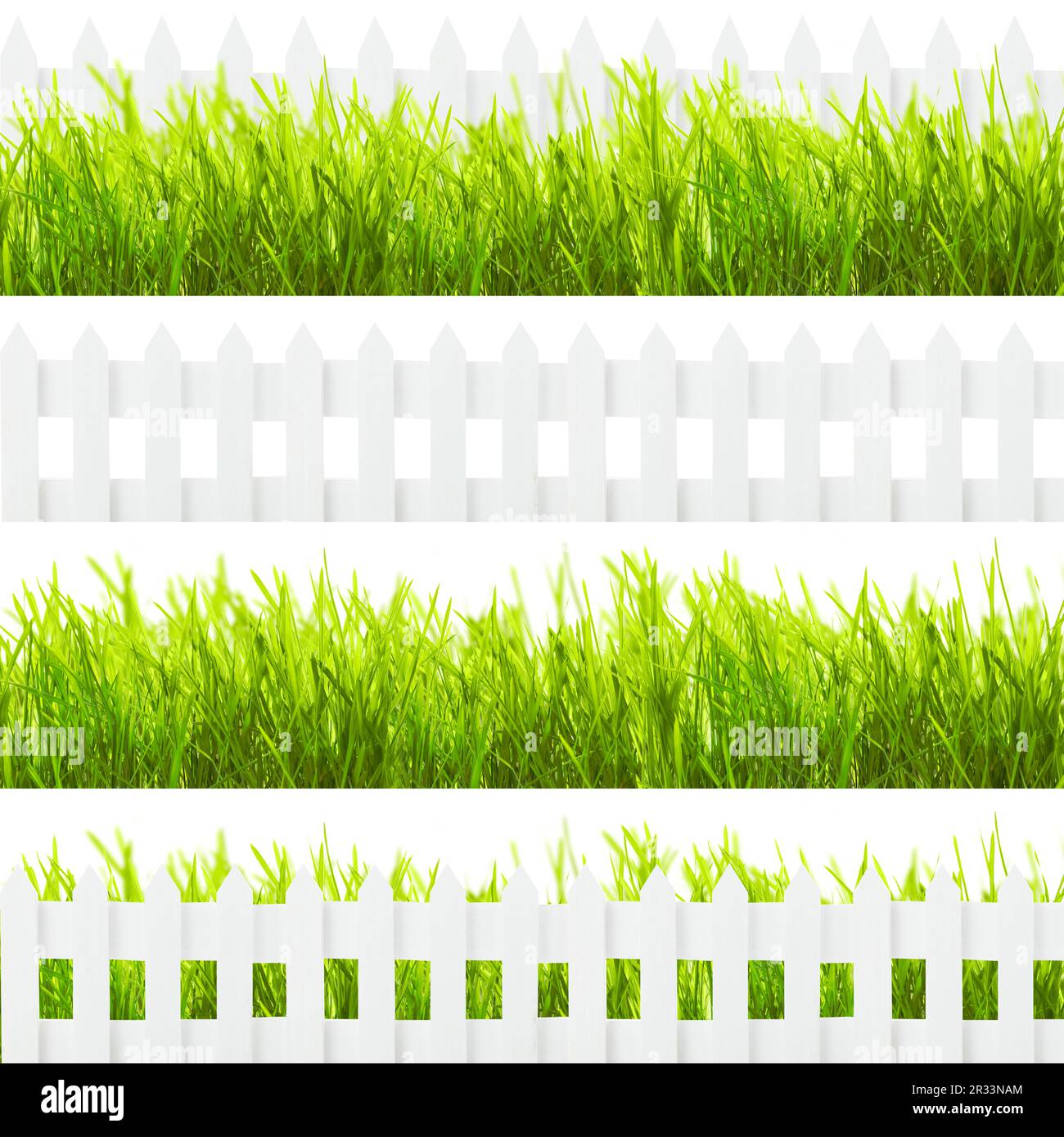 Fence with growth hi-res stock photography and images - Alamy
