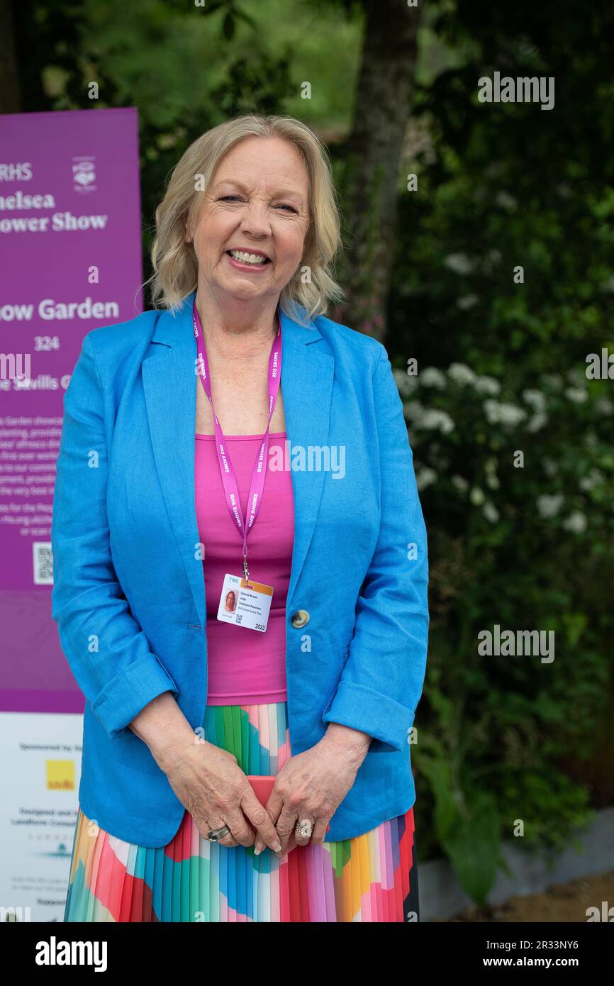 Deborah meaden hi-res stock photography and images - Alamy