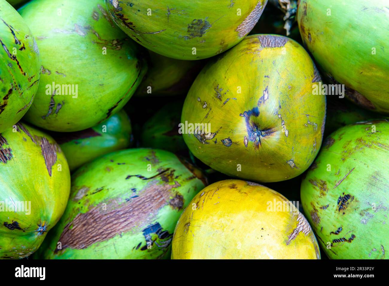 Tender coconuts hi-res stock photography and images - Alamy