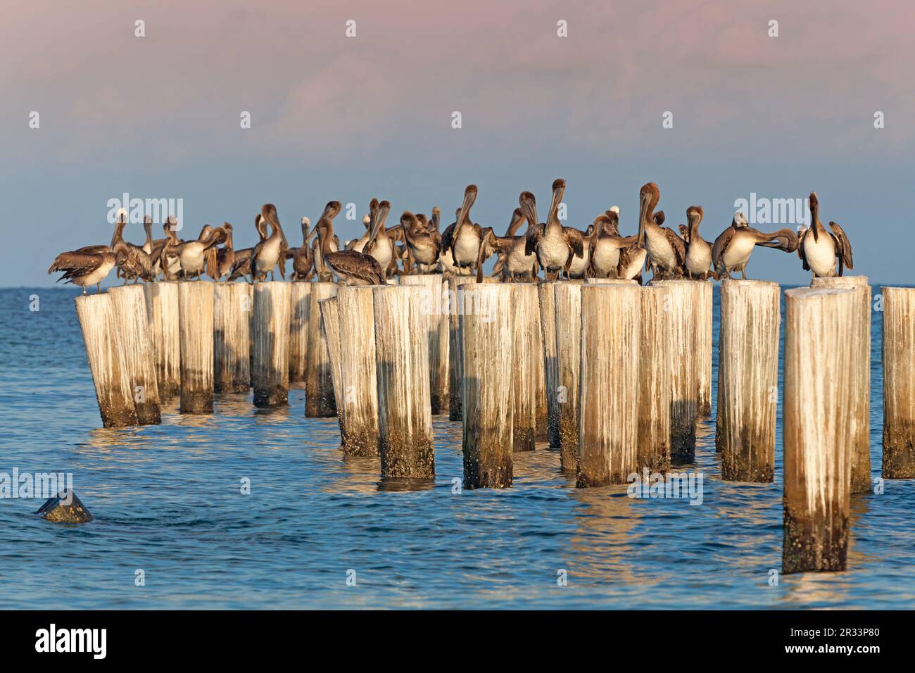 Lookout posts hi-res stock photography and images - Alamy