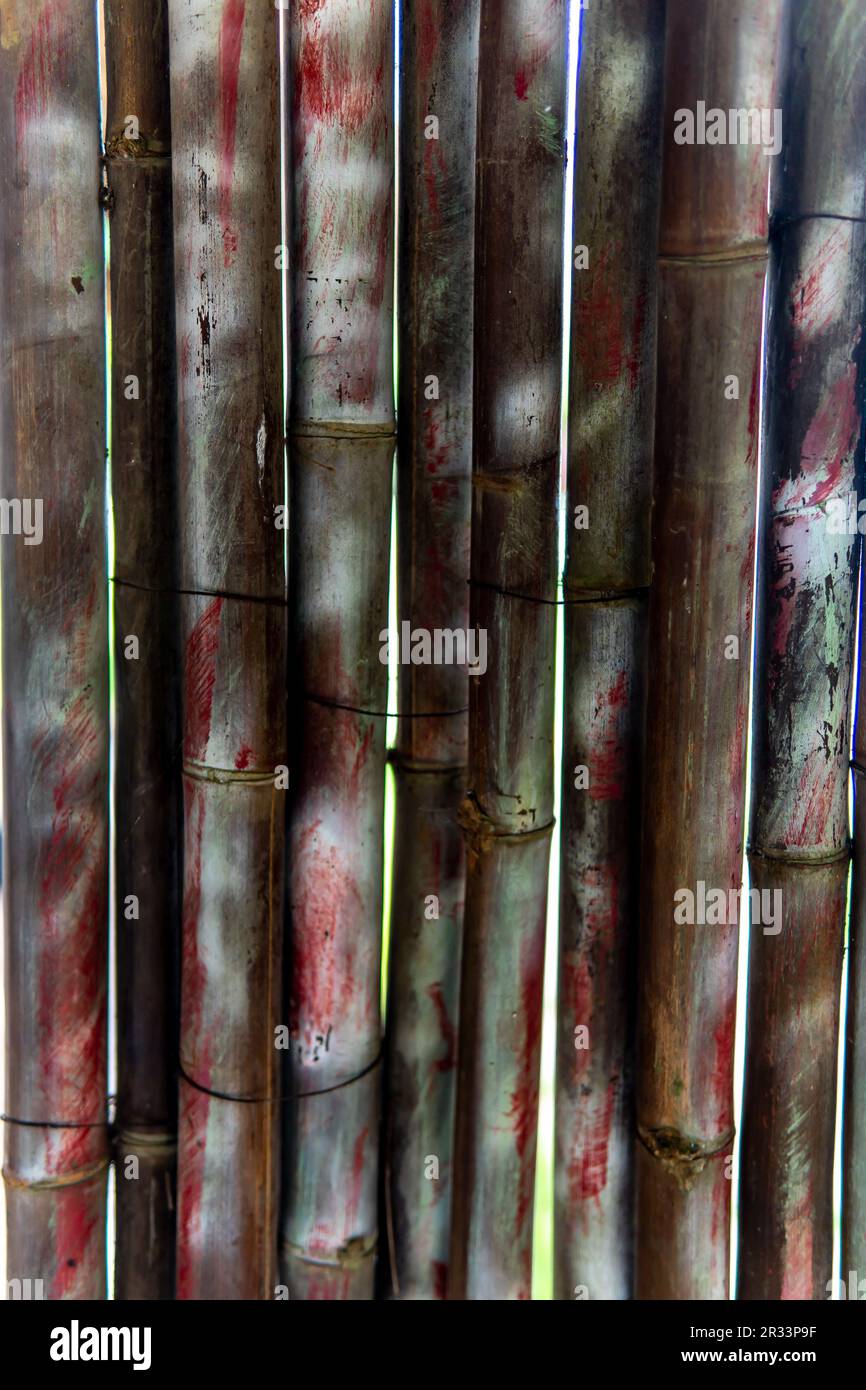 bamboo walls with distinctive designs, high definition photographs and ...