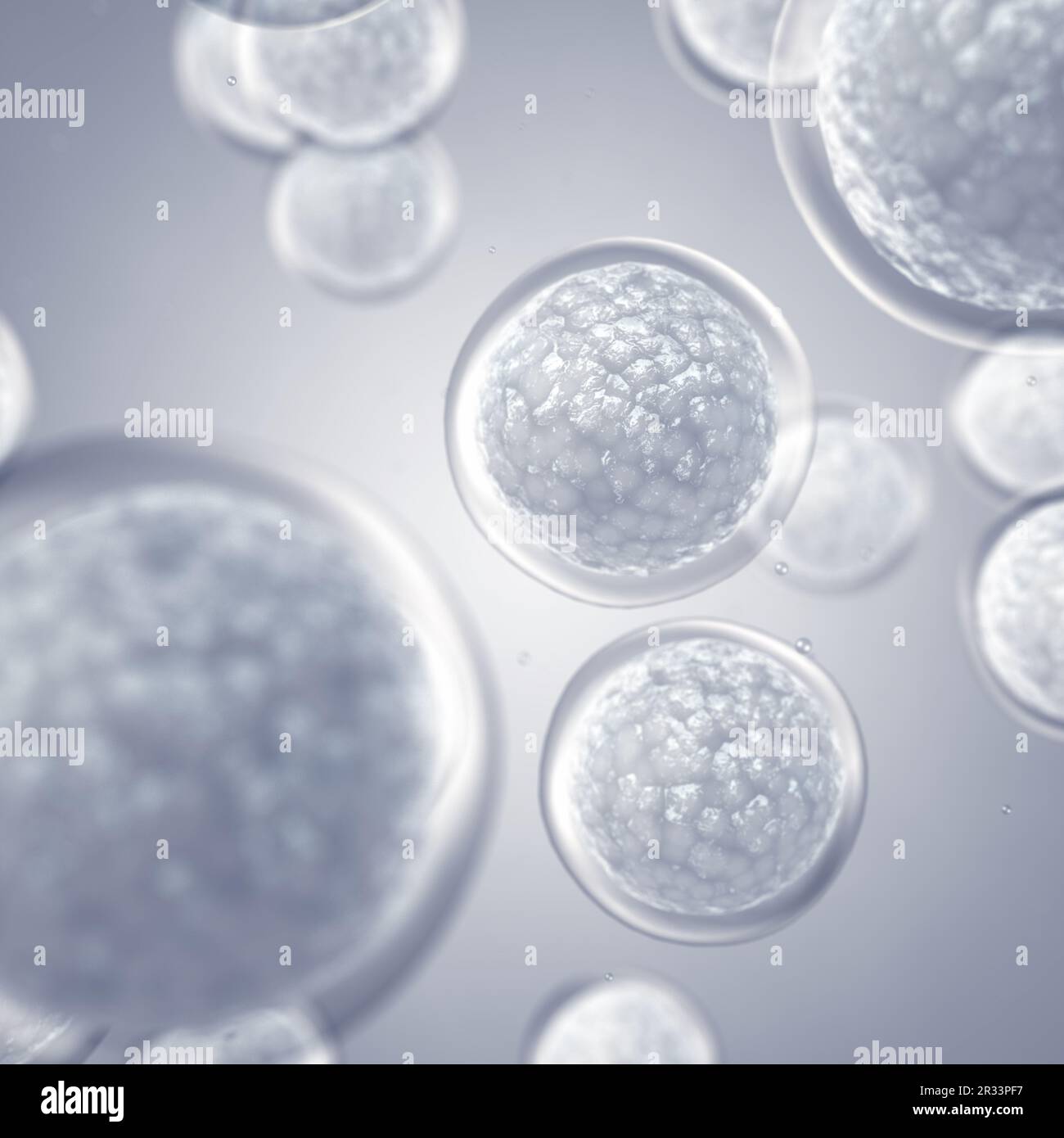 Mesenchymal stem/stromal cells (MSC). Repairing damaged cells by ...