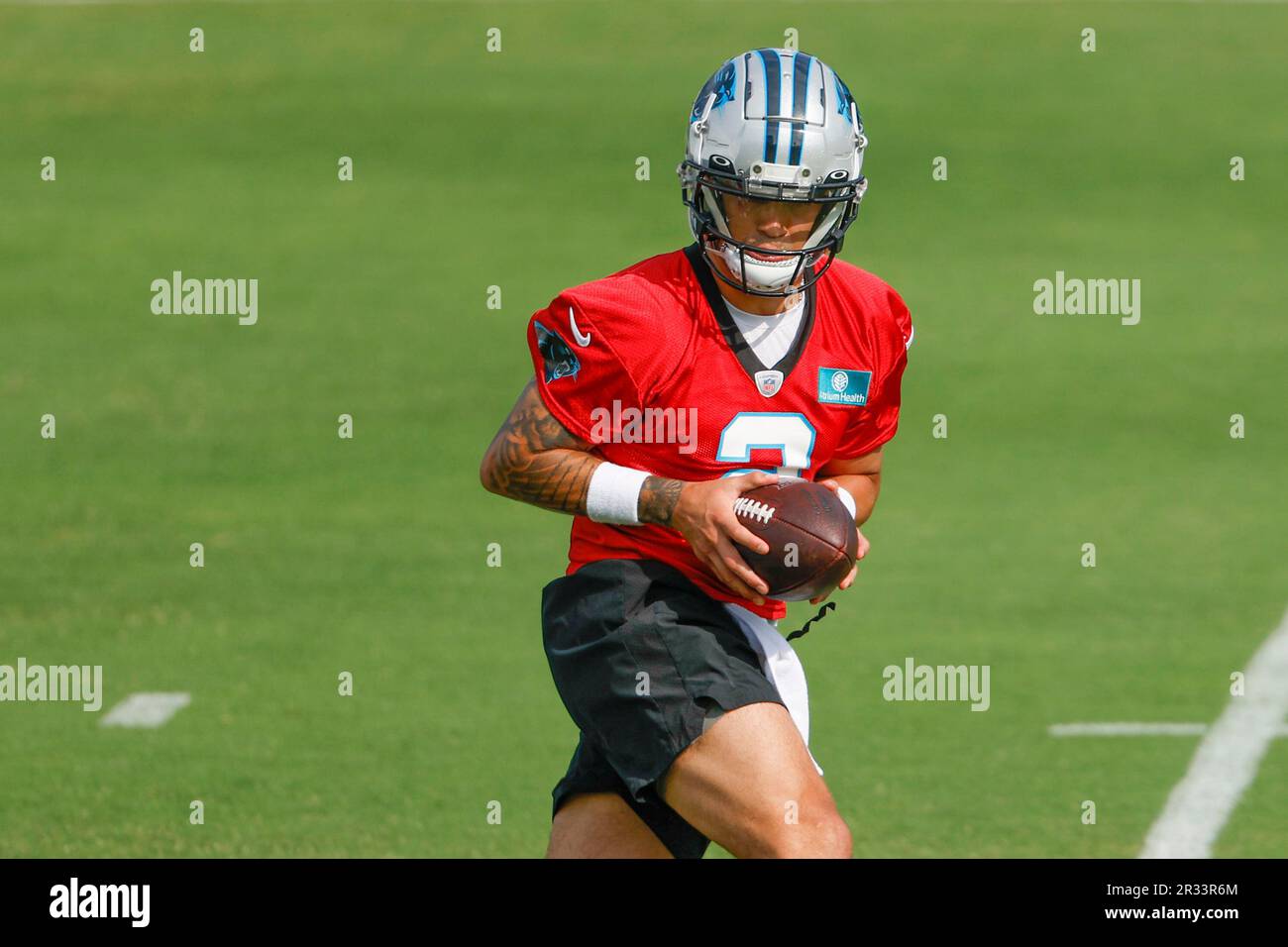 Carolina Panthers quarterback Matt Corral looks to hand off during ...